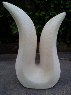 Kiwi designs to enhance your garden